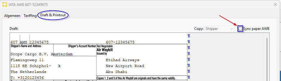 Why are special characters not allowed on an e-AWB?